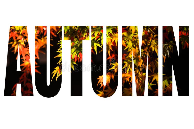 Word AUTUMN Over Tree Branch with Autumn Leaves. Autumn Background ...