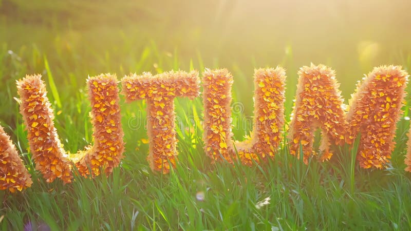 Word Autumn is Written in a Creative Way Using the Leaves on Green ...