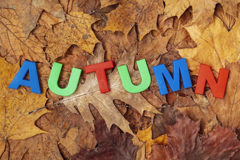 The Word Autumn Written on the Fallen Leaves Stock Image - Image of ...