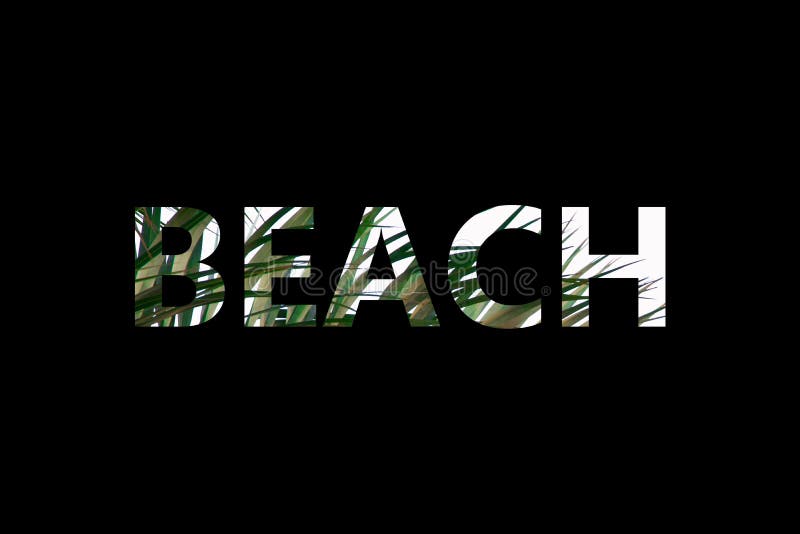 Word Beach with Texture of Green Palm Branches on a Black Background ...