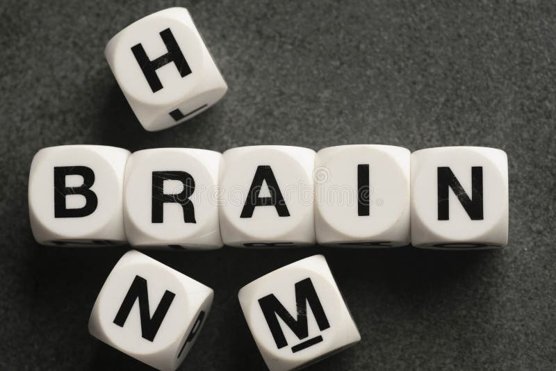 Word brain on toy cubes stock image. Image of creativity - 91602283