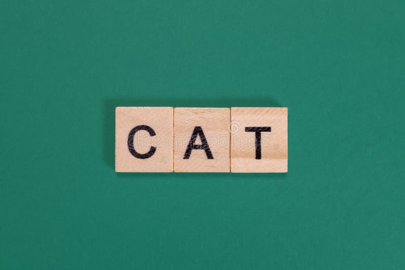 Word Cat from Wooden Letters on a Green Background Stock Photo - Image ...