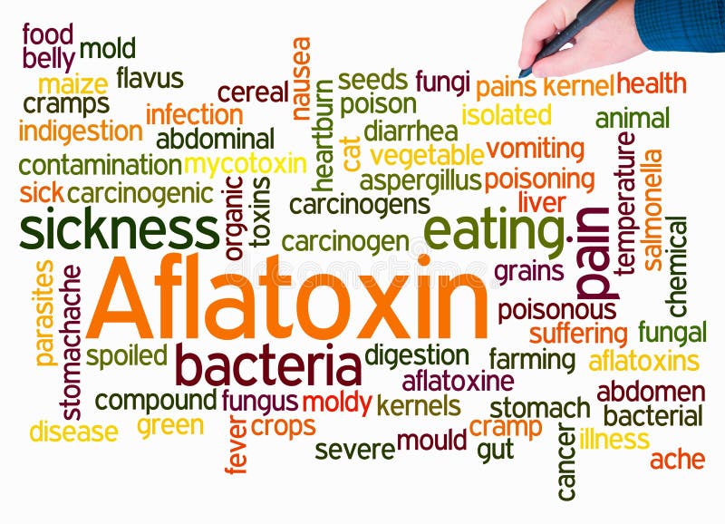 Word Cloud with AFLATOXIN Concept Create with Text only Stock Photo ...