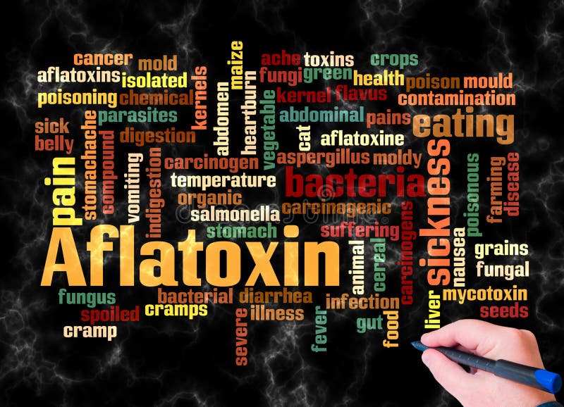 Aflatoxins Poisoning by Fungi in Groundnut Stock Photo - Image of ...