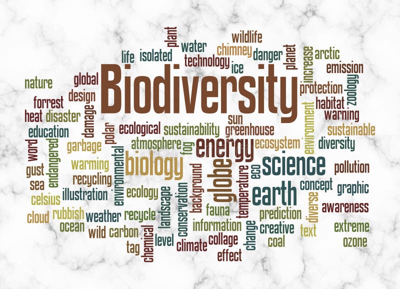 Word Cloud with BIODIVERSITY Concept Create with Text only Stock ...