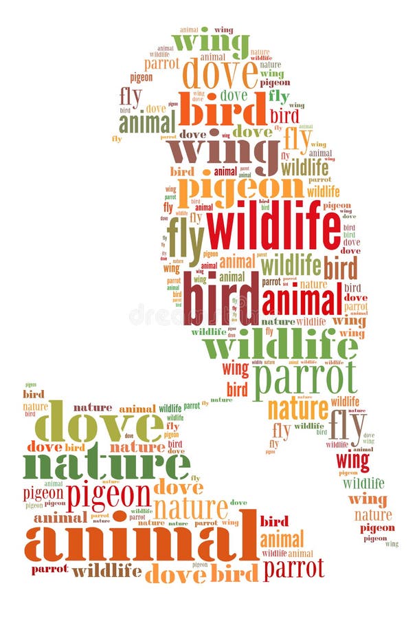 Word cloud of Bird stock illustration. Illustration of beak - 30373768