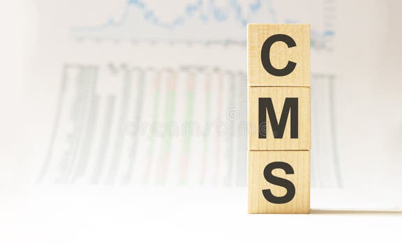 Word CMS Made with Wood Building Blocks Stock Photo - Image of database ...