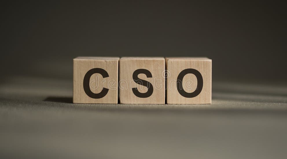 The Word CSO CHIEF STRATEGY OFFICER Written in Cubes Stock Image ...