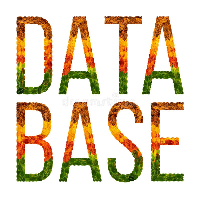Word Database Written with Leaves White Isolated Background, Banner for ...