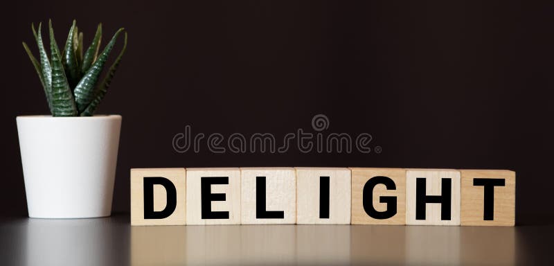 The Word of DELIGHT on Building Blocks Concept Stock Photo - Image of ...
