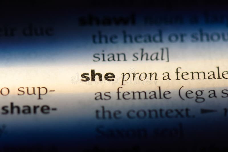 She stock photo. Image of info, definition, printed - 126618694