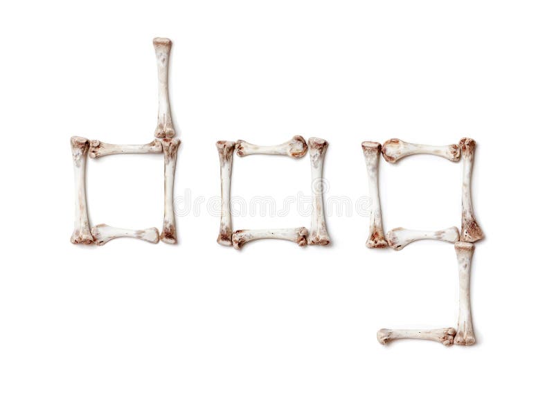 Word Dog Made Up of Chicken Bones on White Background Stock ...