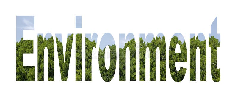 Word Environment Filled with a Photo of Green Tree Foliage and Clear ...