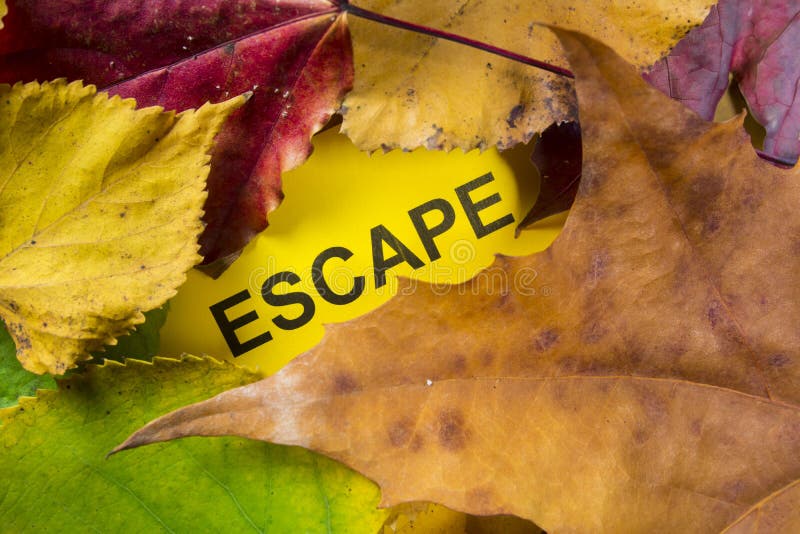 Escape WORD GR stock photo. Image of word, refugee, deportation - 85535360