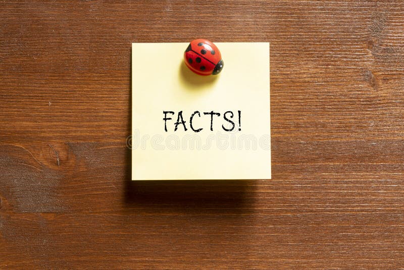 The word facts stock image. Image of information, green - 168121697