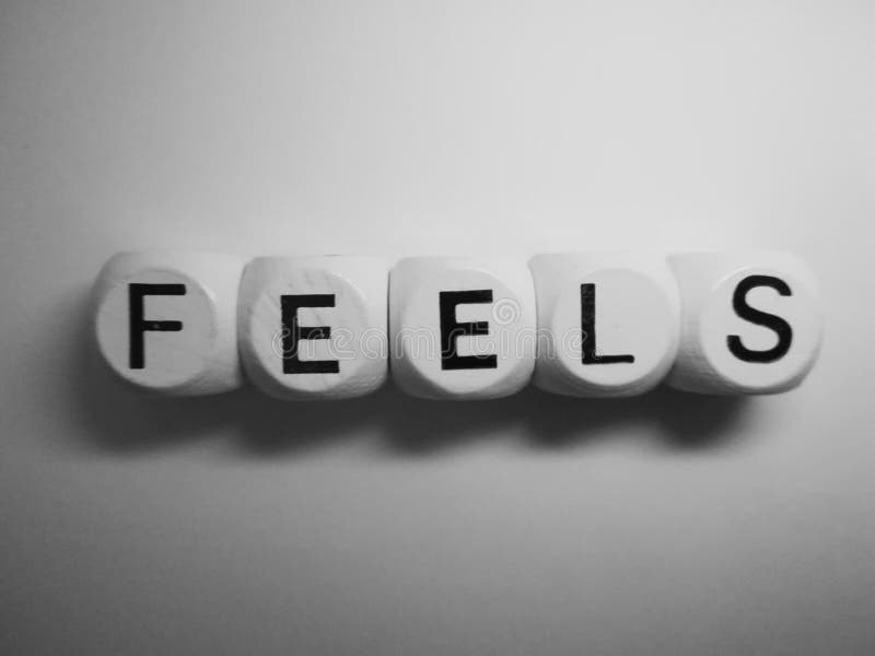 Word feels spelled on dice stock image. Image of block - 123025399