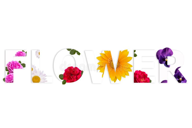 Word FLOWER Made of Flowers on White Background Stock Photo - Image of ...