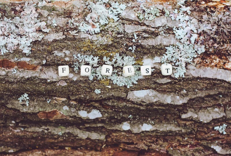 510 Word Bark Photos - Free & Royalty-Free Stock Photos from Dreamstime