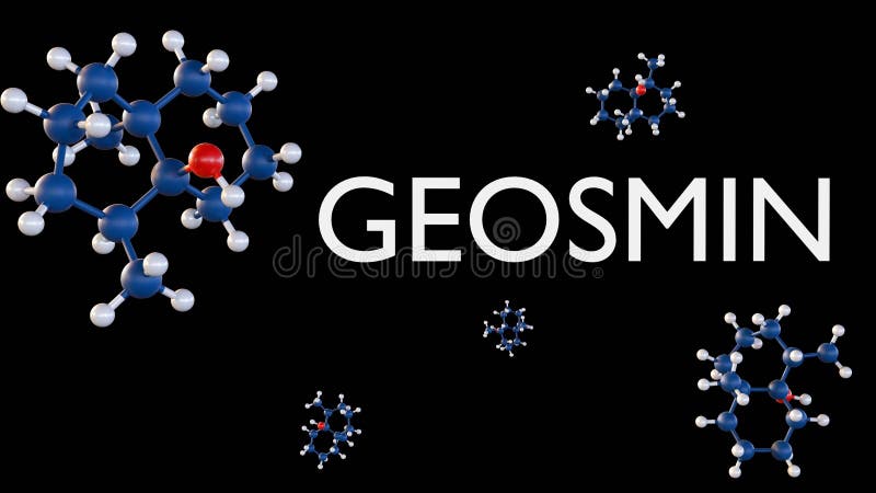 Word "GEOSMIN" and Chemical Structure of Geosmin Molecules Stock ...