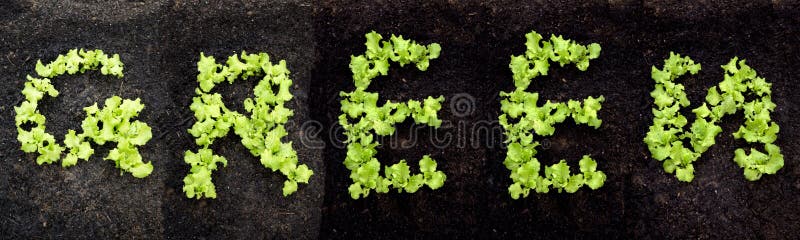 Word YA on Green Background. Learning the English Alphabet and Language ...