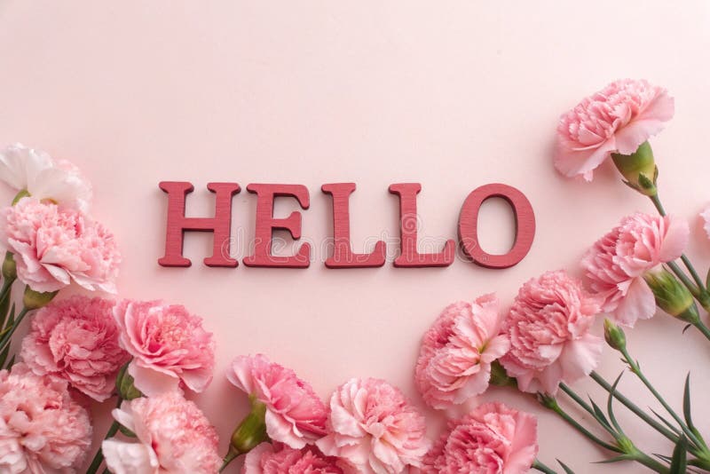 Hello Text on Pink Background with Carnations Stock Illustration ...
