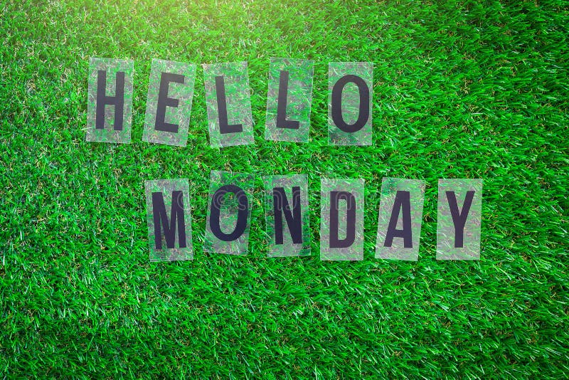 Green Grass Wall Texture for Backdrop Design Stock Image - Image of ...