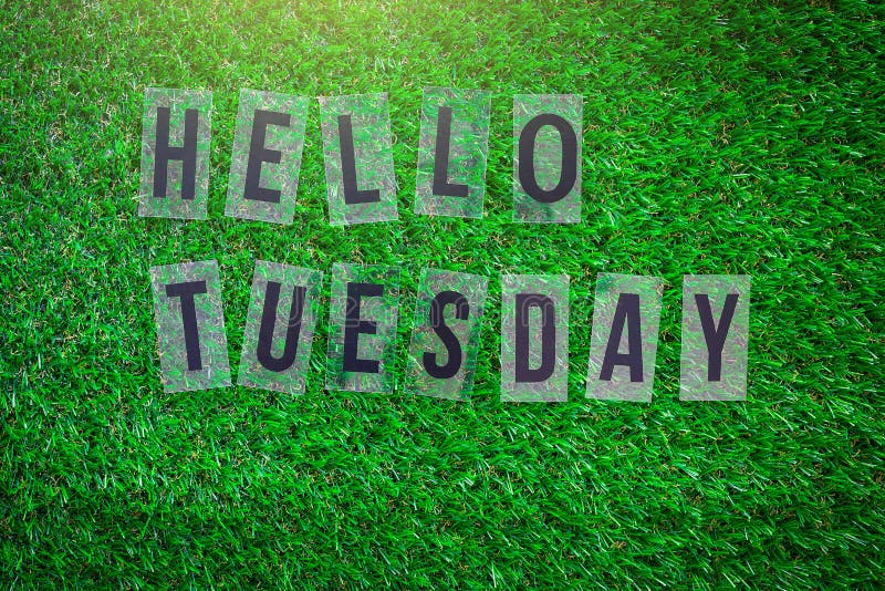 Word HELLO TUESDAY on Green Grass Ground Stock Image - Image of ...