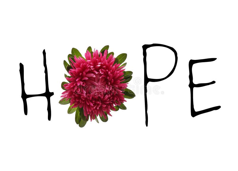 Word HOPE Made with Letters and Beautiful Aster on White Background ...