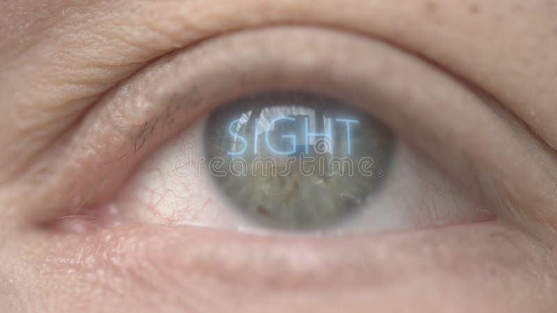 SIGHT word on human eye stock photo. Image of cityscape - 183252264