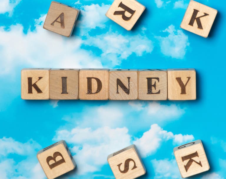 161 Kidney Font Stock Photos - Free & Royalty-Free Stock Photos from ...