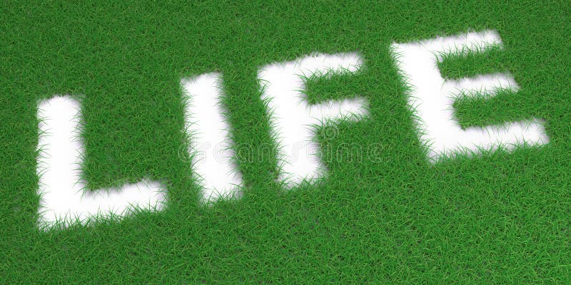 Word LIFE Made of Green Leaves Isolated on White Background. Watercolor ...