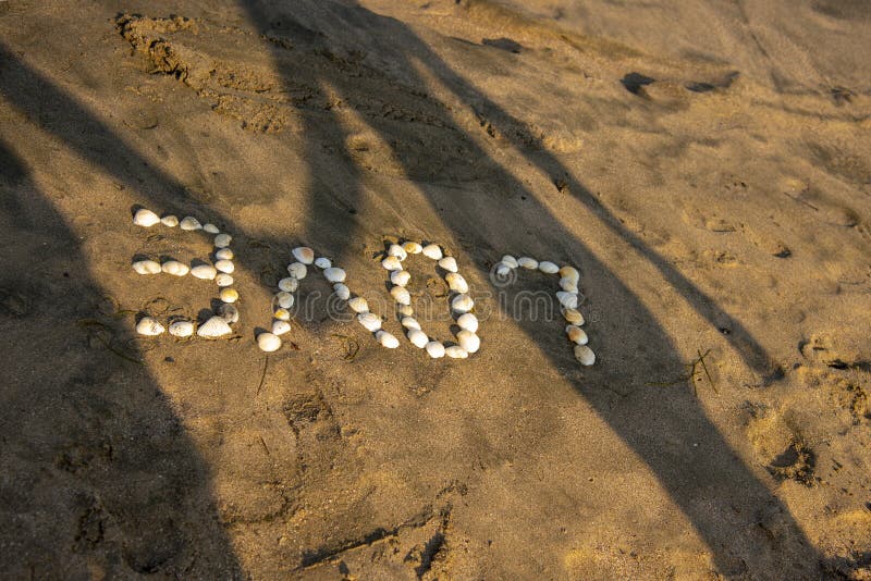 The Word Love is Laid Out with Shells on the Sand Stock Image - Image ...