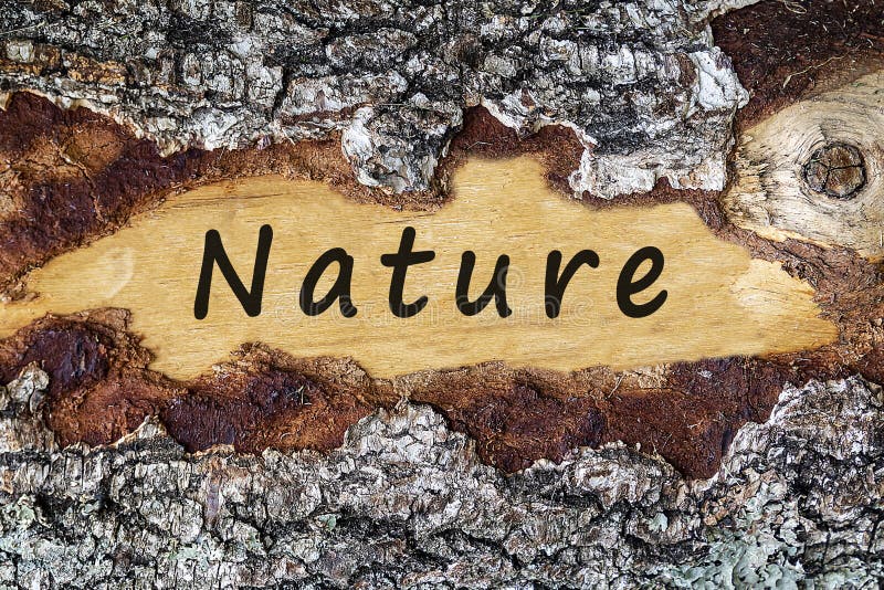 Nature written in Autumn stock image. Image of color - 34746515