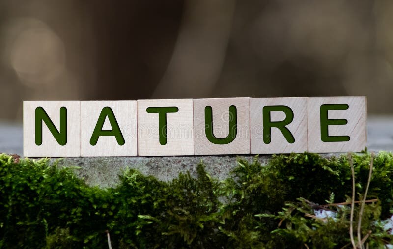 The Word Nature Written in Vintage Wooden Letterpress Type Stock Photo ... The Word Nature Written in Vintage Wooden Letterpress Type Stock Photo ...