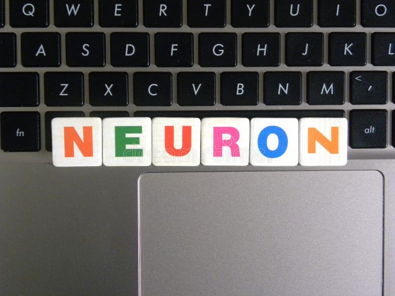 329 Neurons White Background Stock Photos - Free & Royalty-Free Stock ...