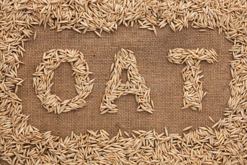 454 Word Oat Stock Photos - Free & Royalty-Free Stock Photos from ...
