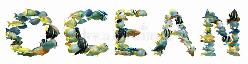 Word Ocean Life Stock Illustrations – 990 Word Ocean Life Stock ...