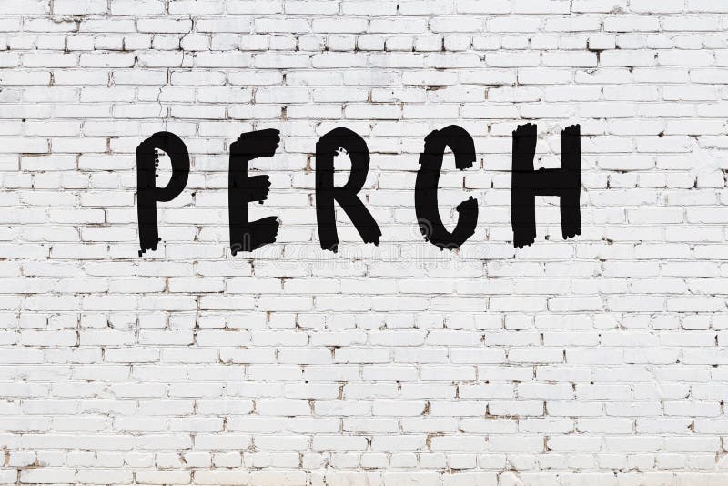 Word Perch Painted on White Brick Wall Stock Image - Image of word ...