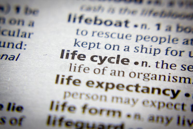 Word or Phrase Life Cycle in a Dictionary Stock Photo - Image of ...