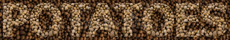 Word Potatoes are Written with Vegetables Stock Photo - Image of size ...