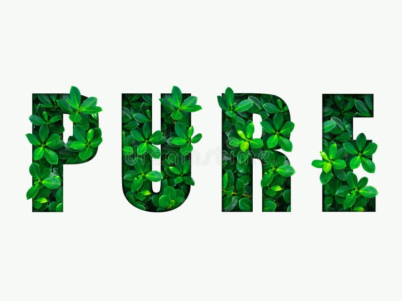 Word PURE from the Green Leaves Stock Image - Image of leaves, plant ...