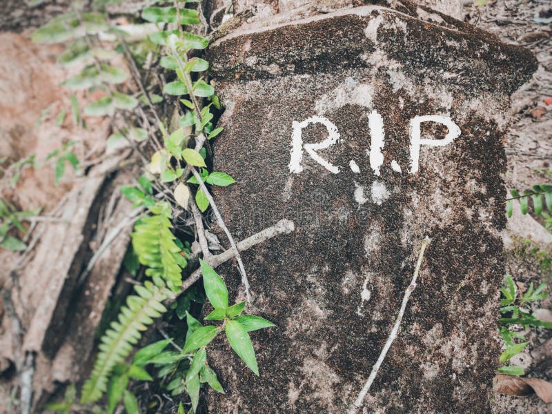 Christian P Stone Stock Photos - Free & Royalty-Free Stock Photos from ...