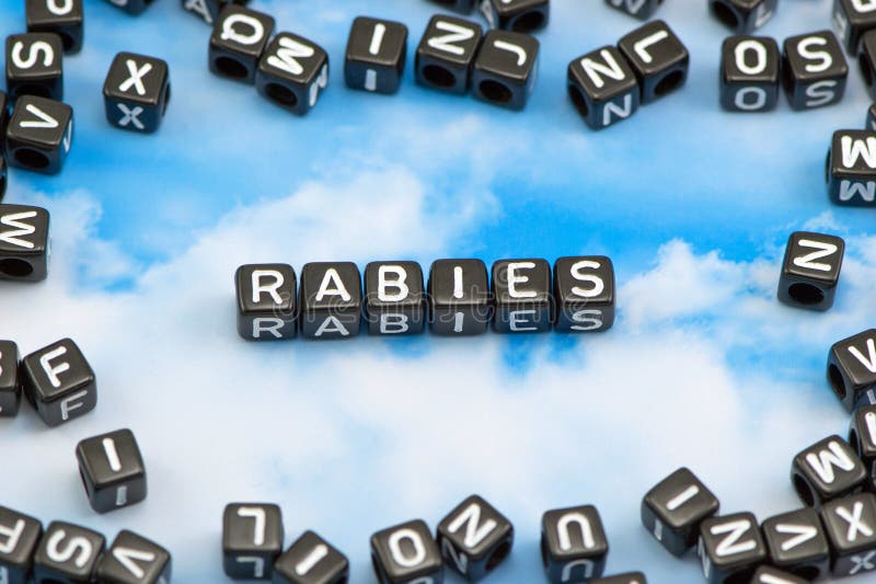The Word Rabies on the Display of a Tablet Stock Photo - Image of ...