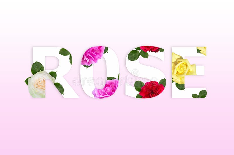 Word Of Love Made From Red Rose Stock Photo - Image of beauty, foliage ...