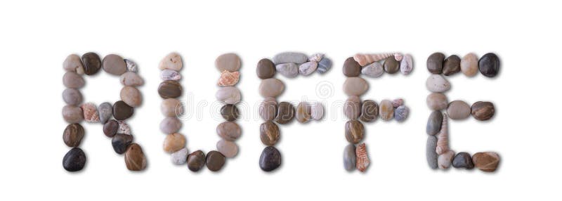 The Word "RUFFE" is Lined with Shells and Stones of Different Shapes ...