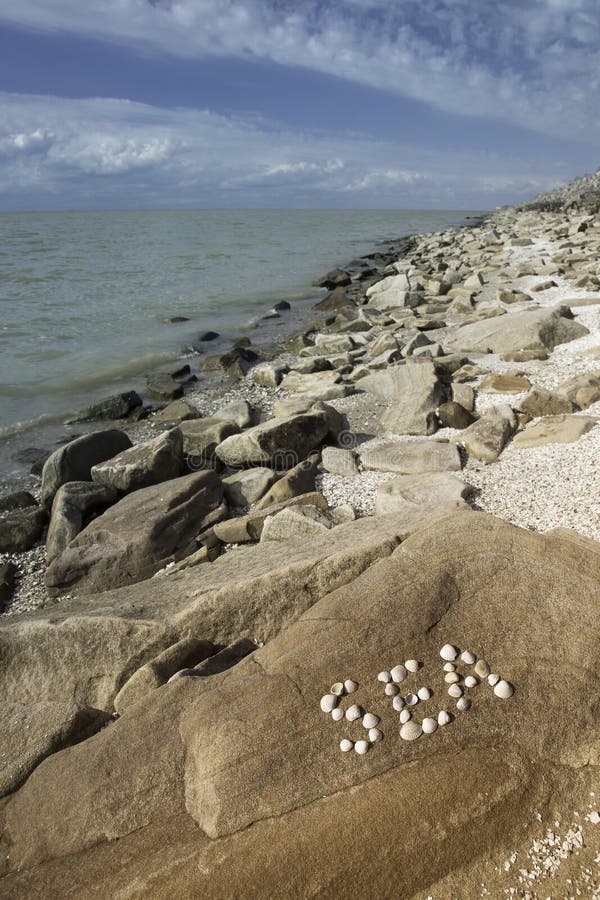 The Word Sea, Composed of Seashells. Stock Image - Image of marine ...