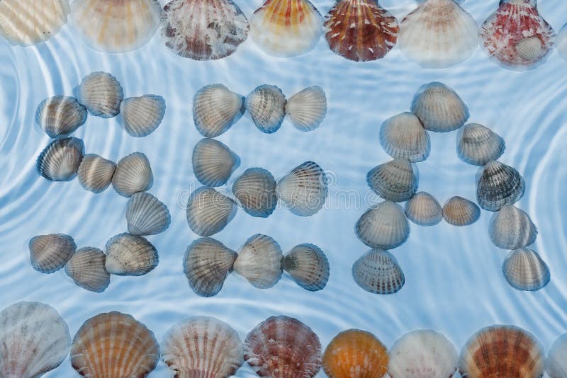 Word Sea Made of Seashells Under Water Stock Image - Image of blue ...