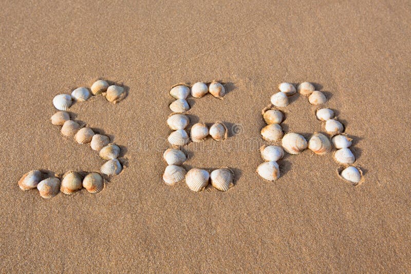 Word Sea Shell Written on Beach Sand Stock Image - Image of tourism ...
