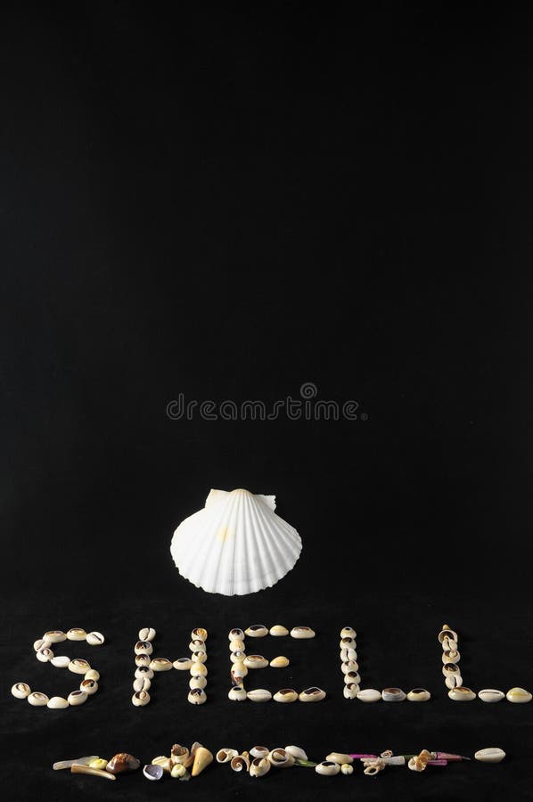 Word Sea Shell Written On Beach Sand Stock Image - Image of backgrounds ...