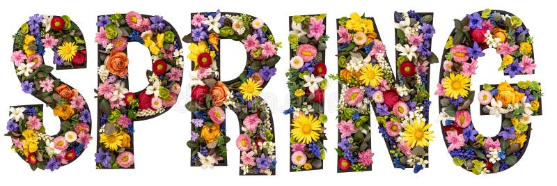 The Word Spring Made of Real Natural Flowers and Leaves on White ...
